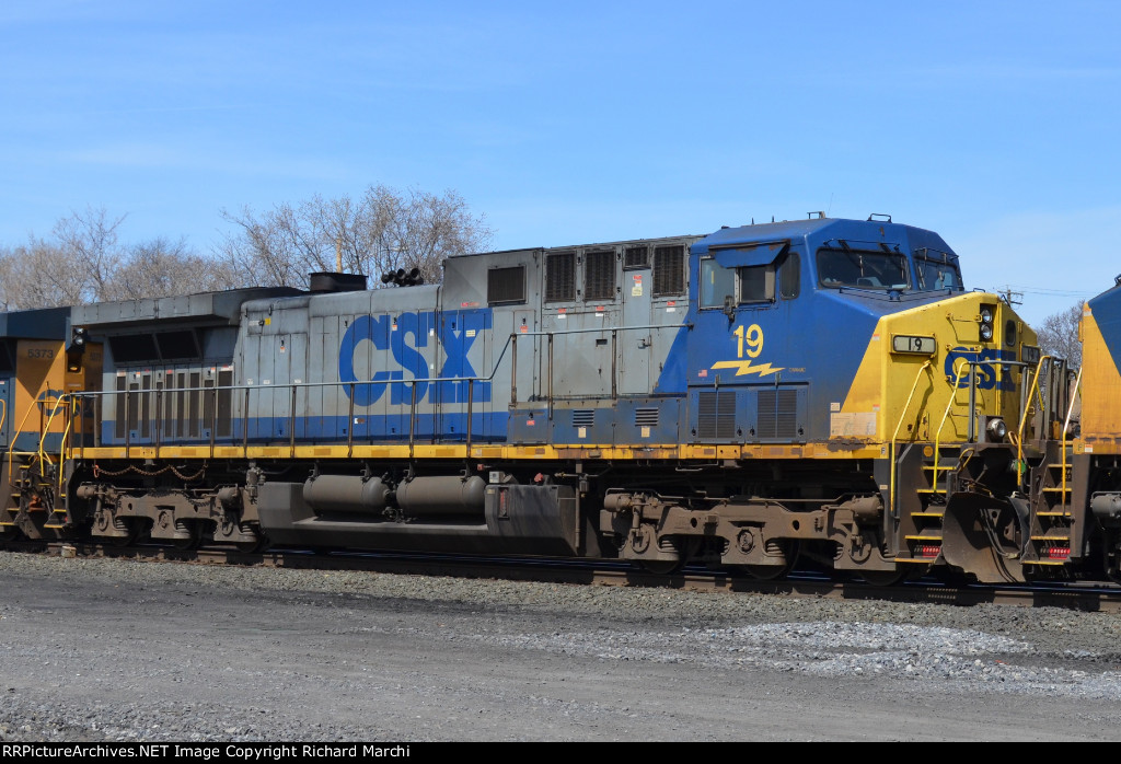 CSX 19